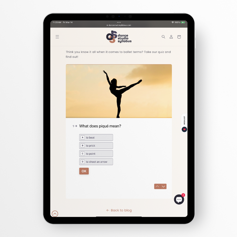 Teaching Dance to Beginners | Dance Studio Syllabus